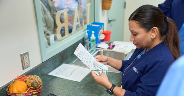 ‘It makes learning fun’: La Salle Nursing faculty member brings escape ...